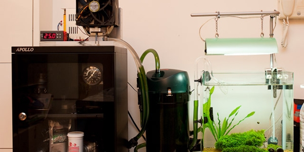 Setting Up Aquarium Chiller Properly - How to Choose & Install