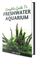 Home - The Aquarium Guide