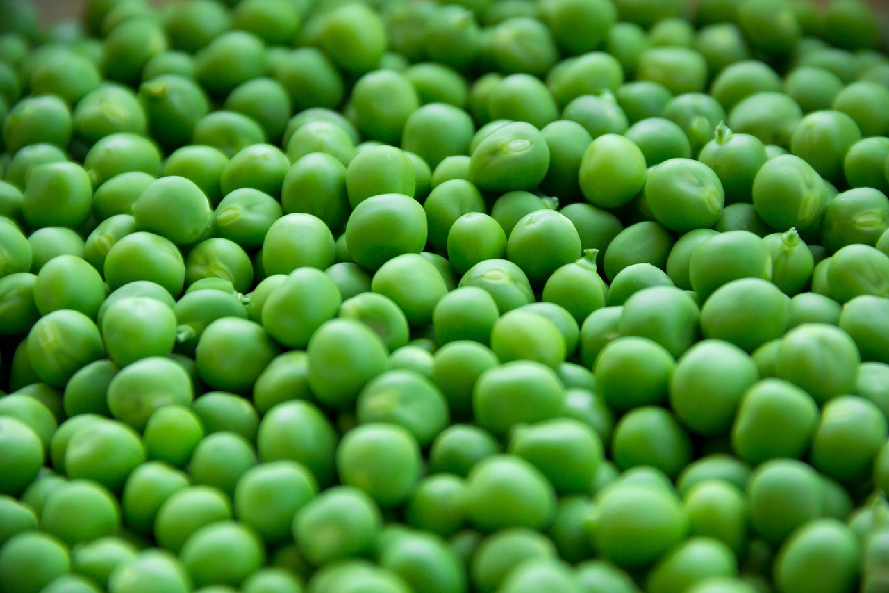 What Can You Feed Fish Other Than Fish Food? (Full List)