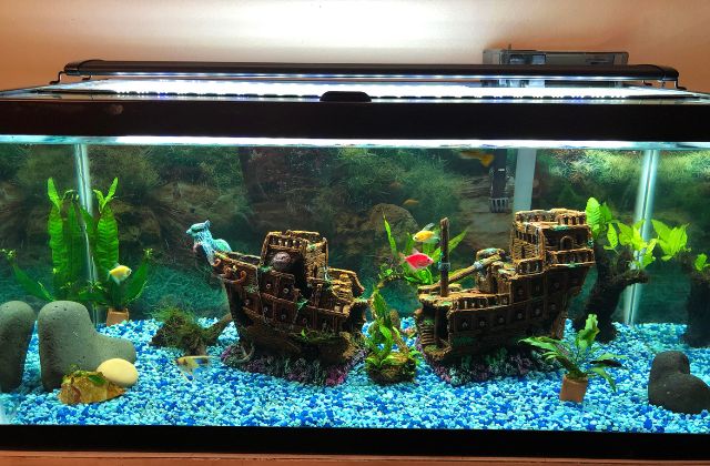 5 Best Aquarium Filter Floss and Why You Need It? - The Aquarium Guide