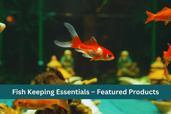 Fish Keeping Essentials - Featured Products - The Aquarium Guide